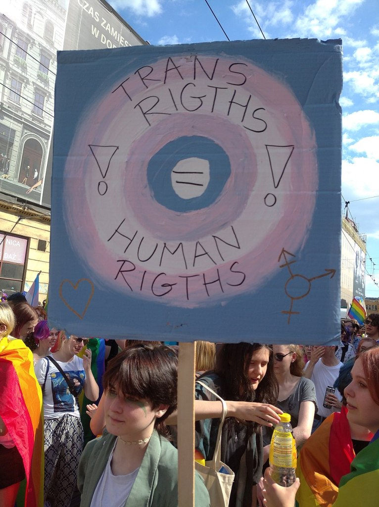 The Weekly Round Up: Human Rights reports on Gaza, courts to hear ...